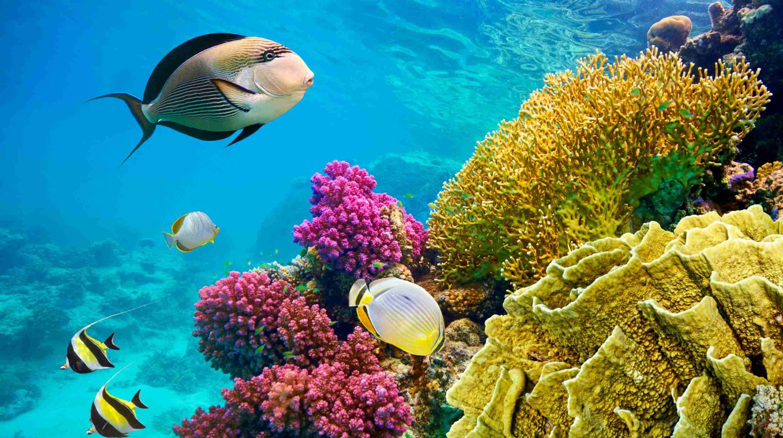 Les Voyages de Pharaon | Croisière de Luxe sur le Nil en Dahabiya